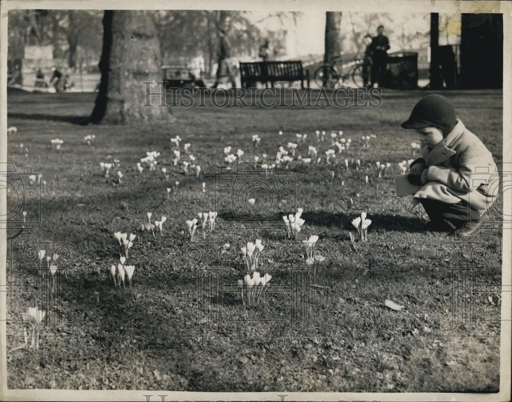 1953 Press Photo 4-year old Peter Wakeford, of Kensington - among the ...