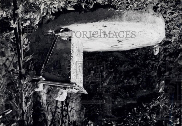 1960 Press Photo Well Where Actress Brigitte Barton Was Found Unconsci ...