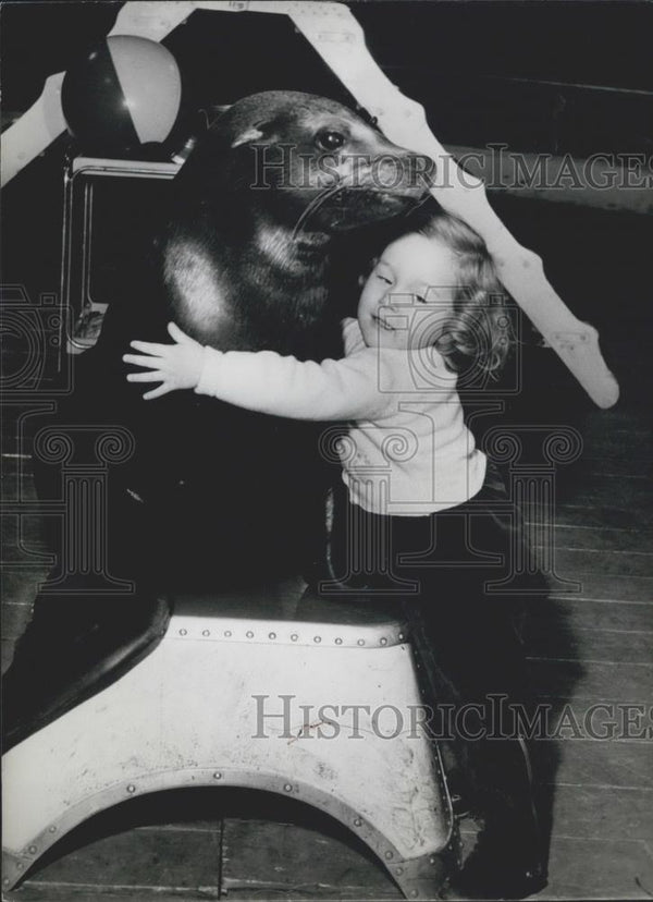 Press Photo Sealions don't frighten little Bertha - Historic Images