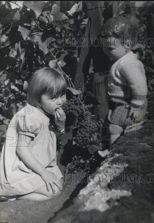 1957 Press Photo Children in a Vineyard Before the Montmartre Grape Fe ...