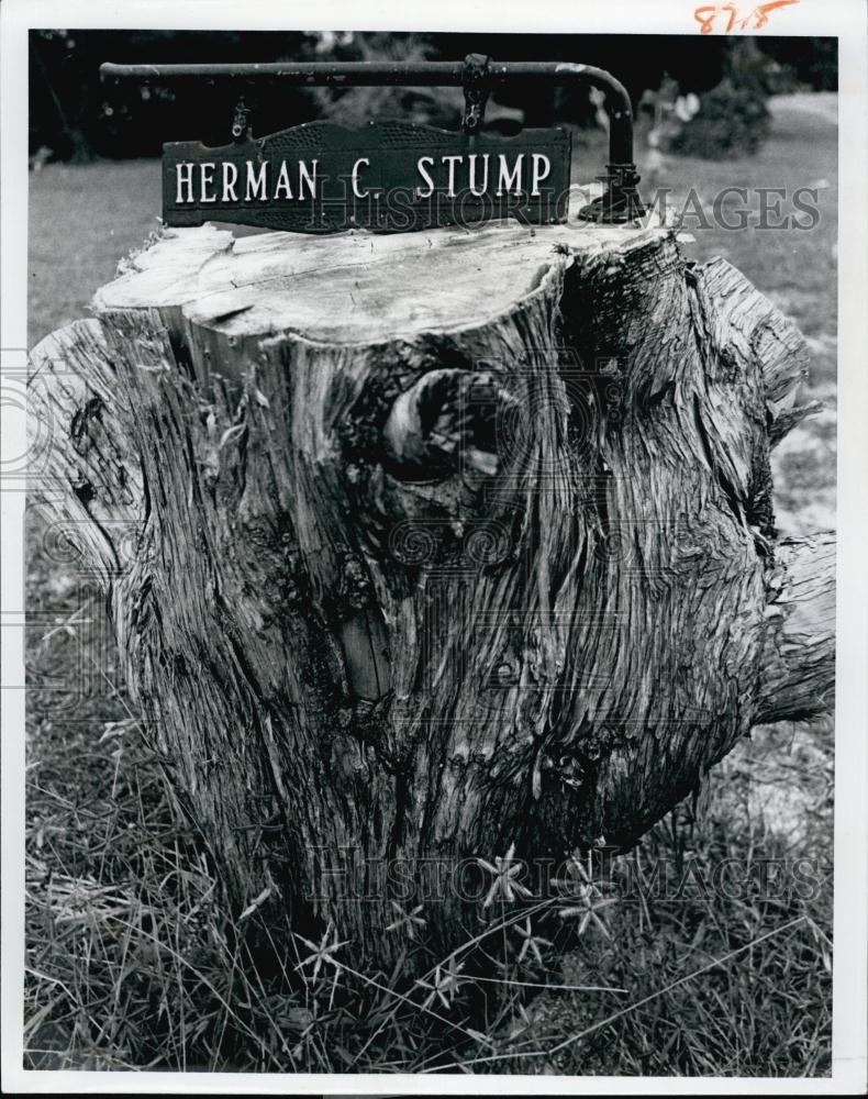 1976 Press Photo A Stump for Herman Stump - RSL60205 - Historic Images