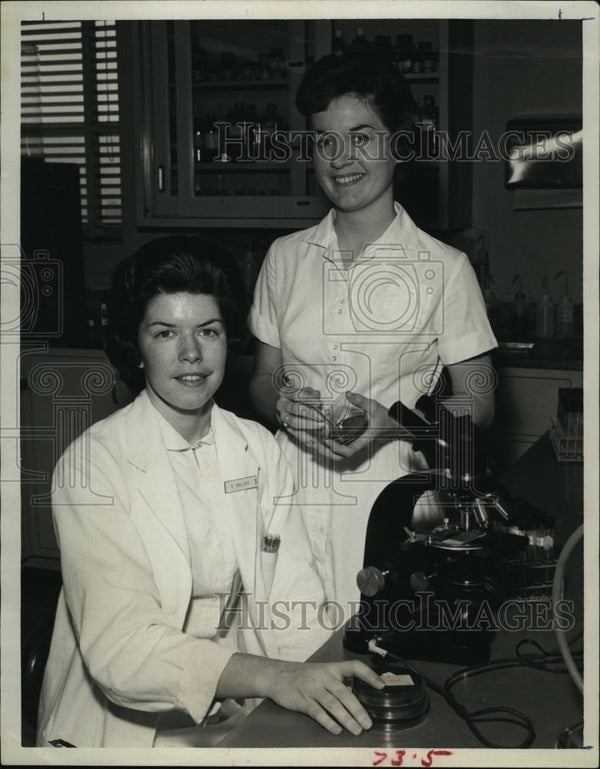 1964 Press Photo Mary Anne Griffith, Sue Ballard, Scientist, Bacteria ...