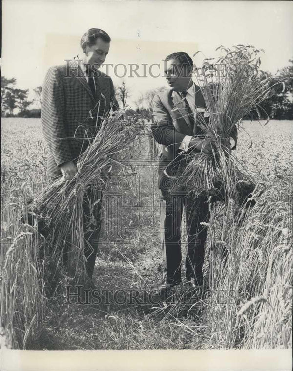 Dr. Harry Hurst & electro-activated rye-grass 1966 Vintage Press Photo ...