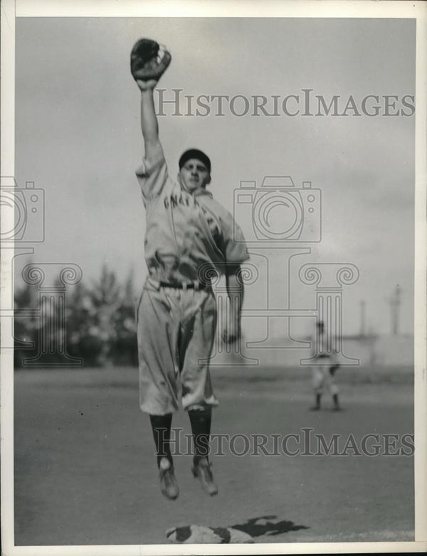 New York Giants Les Stevens Catching Ball 1936 Vintage Press Photo ...