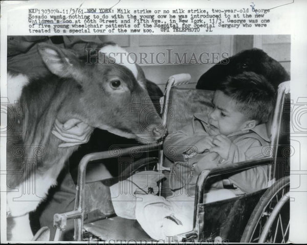 New York George Rosado Children's Zoo 1961 Vintage Press Photo Print ...
