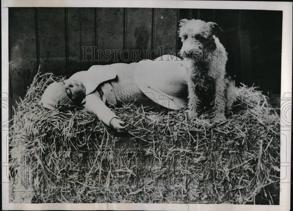 Pet Terrier Dog Watches over Eight Month Old Ralph Goodwin 1938 Vintage ...