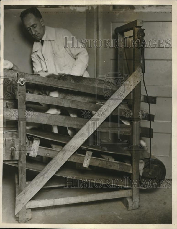 Thomas A. Jenkins with Lop as a subject 1927 Vintage Press Photo Print ...