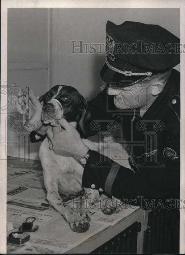 Evanston, Ill Dog warden Chester Nichols & a dog for nose print 1939 ...