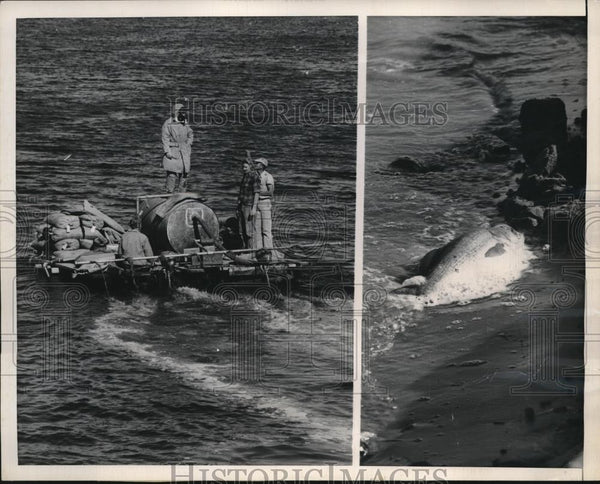 2 Surplus Navy Life Rafts in Lake Merced 350 Acre Lake 1949 Vintage ...