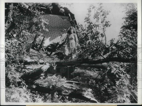 Shirley Dennison, 12, stands on tree which fell on her home 1946 ...