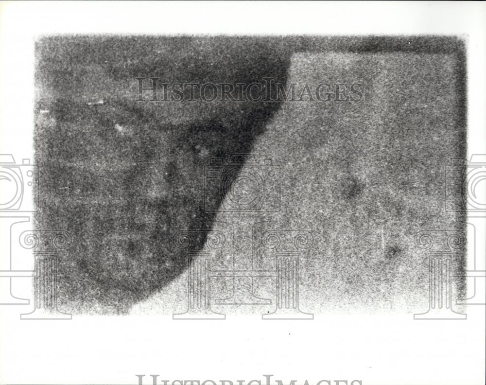 1980 Press Photo Fowzi Badavi Nejad ,Iranian terrorist in custody ...