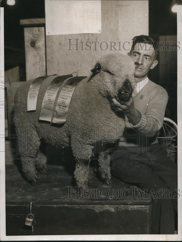 1934 Press Photo Lansing Michigan, Monte Thornton With Prize Sheep ...