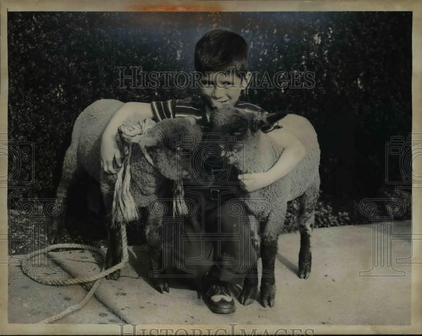 1955 Press Photo George Lignos Stray Lambs Pet of Neighborhood Childre ...