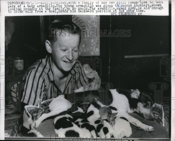 1959 Press Photo of Prissy the dog, her litter, one baby armadillo, Wa ...