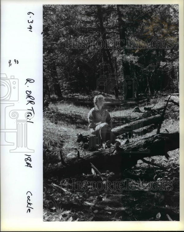 1991 Press Photo Forest Service Deb Barrett on log at Oregon Trail, no ...