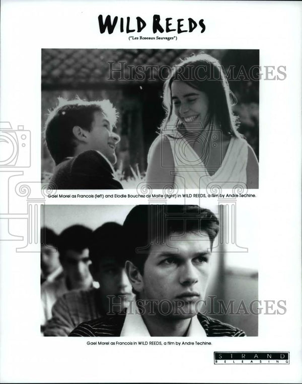 Press Photo Scenes from the film Wild Reeds, a film by Andrei Techine ...