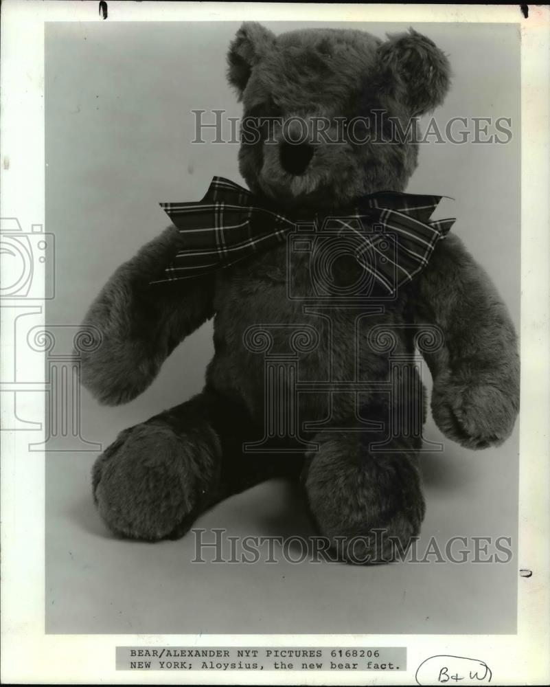1982 Press Photo Aloysius, the new bear fact. - orb60007 - Historic Images