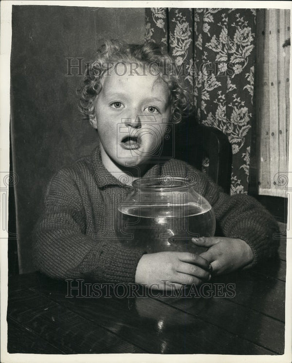 Press Photo Five years lf Lesley Walker Swallowed Goldfish - KSG05395 ...