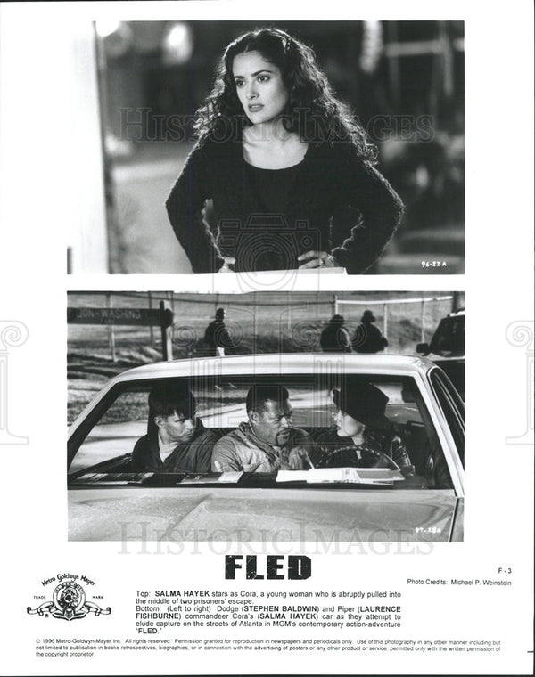 Salma Hayek Actress Stephen Baldwin Laurence Fishburne Fled 1996 ...