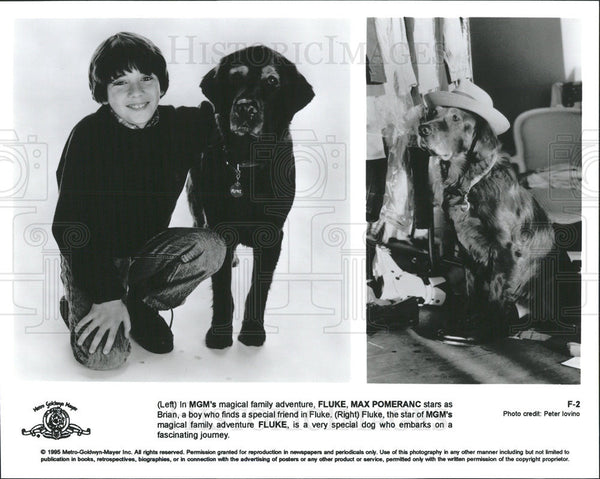 1995 Press Photo Film Fluke Actor Max Pomeranc Brian Dog - Historic Images