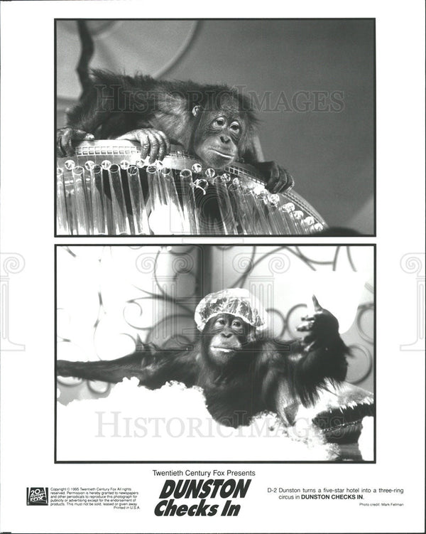 1995 Press Photo Dunston the Monkey in "Dunston Checks In" - Historic ...