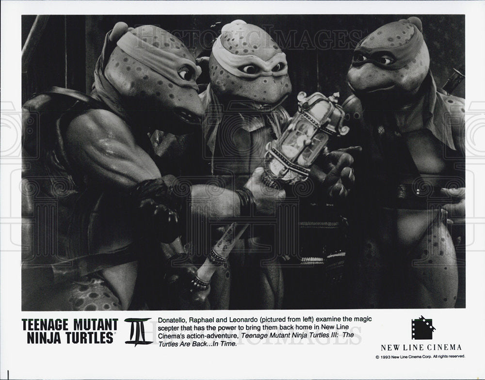 Teenage Mutant Ninja Turtles 3 Movie Poster