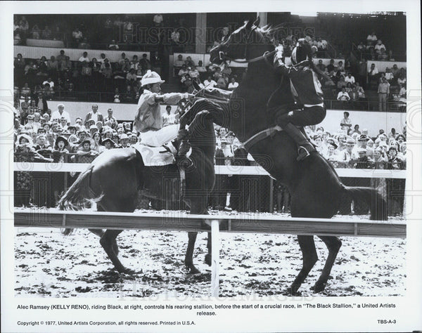 Kelly Reno Rides Black In The Black Stallion 1977 vintage promo photo ...
