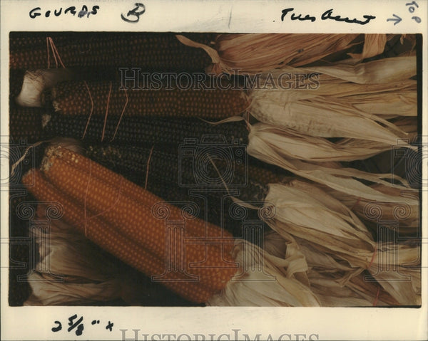 1984 Maize Corn Mielie Mealie 1250 BCE 1700 - Historic Images