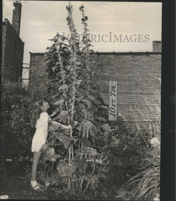 1947 Charles O Carlson Carol Callender - Historic Images