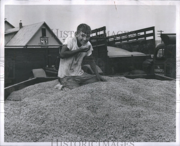 1944 Wheat Fertile Crescent Rice East Food - Historic Images