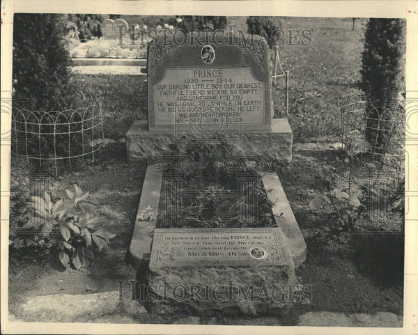 John B Olsons Hober Smaller Stone Dog - Historic Images