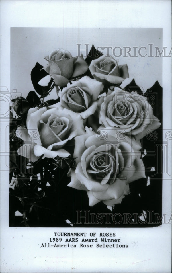 1989 Press Photo Tournament of Roses AARS Award Winner - RRU19031 ...