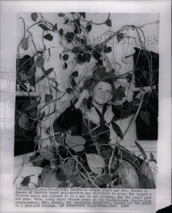 1960 Press Photo Steven Krause Year Couple Philodenron - RRU59105 ...