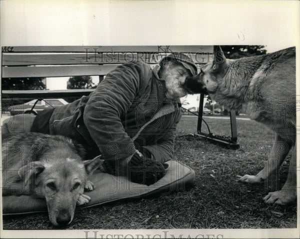 1987 Press Photo Ray Sunrise German Shepard Dog Pooch - RRU95063 ...