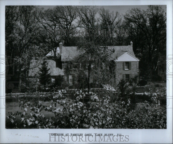 1981 Press Photo Tangley Oaks Emerson home Lake Bulff - Historic Images