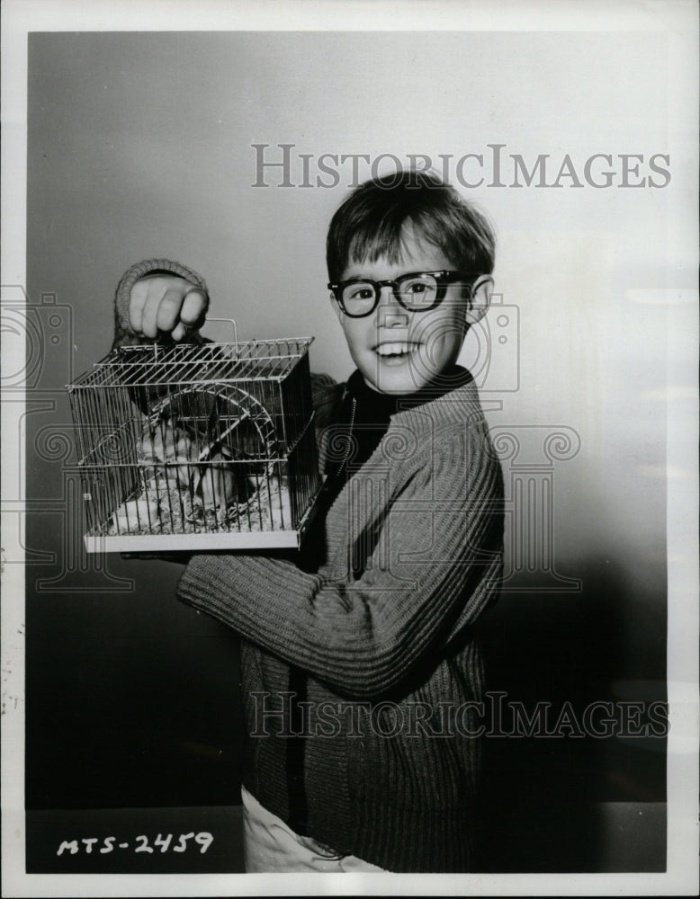 1964 Press Photo Barry Livingston My Three Sons TV Show - RRW14639 ...