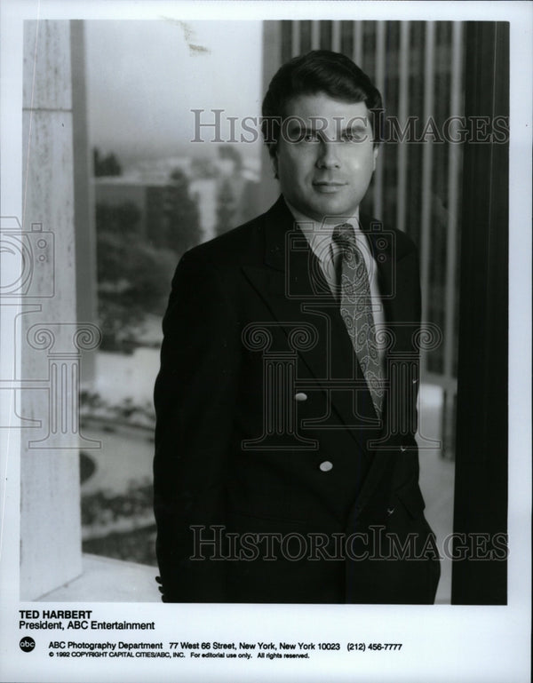 1994 Press Photo Ted Harbert -ABC Entertainment - RRW15655 - Historic ...