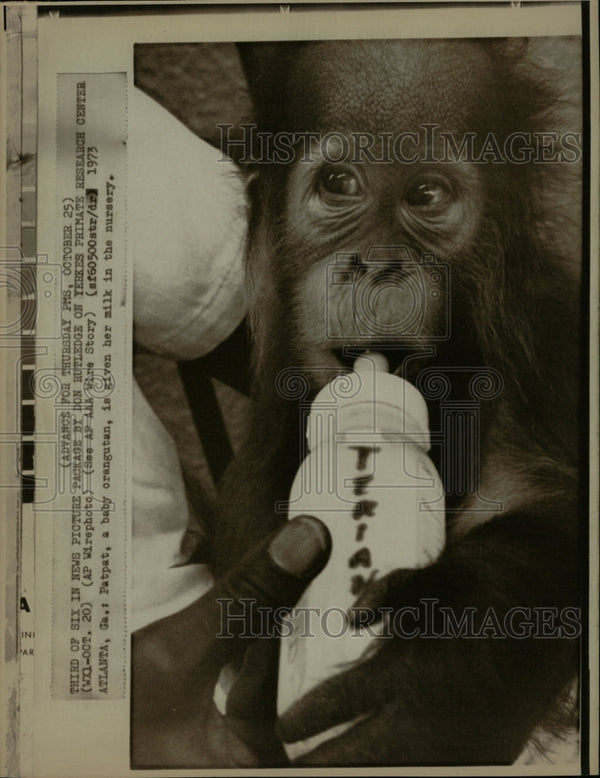 1973 Press Photo Don Rutledge Yerkes Primate research - RRW24475 ...