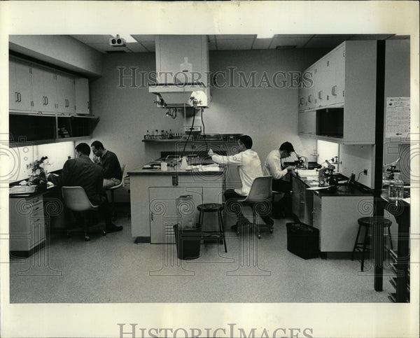 1965 Press Photo Northwestern University Laboratory - RRW64975 ...