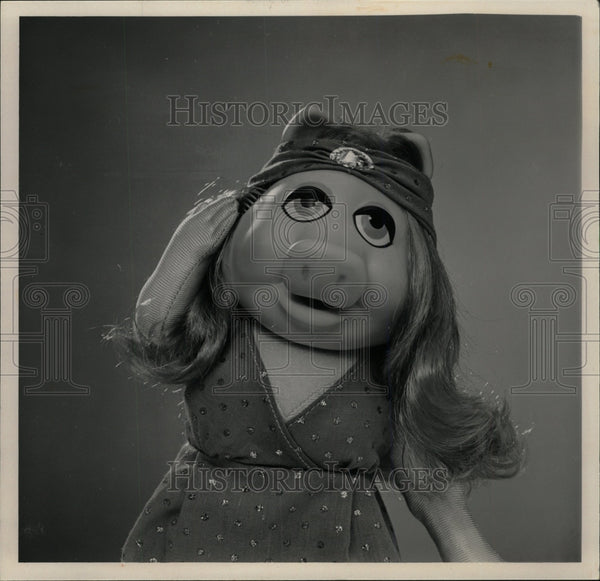 1981 Press Photo Muppet Photograph Fredric Stein Cap - RRW73397 ...
