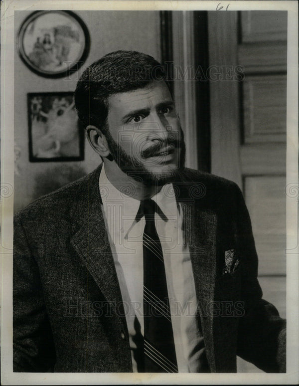 1968 Ted Bessell Actor Director That Girl - Historic Images