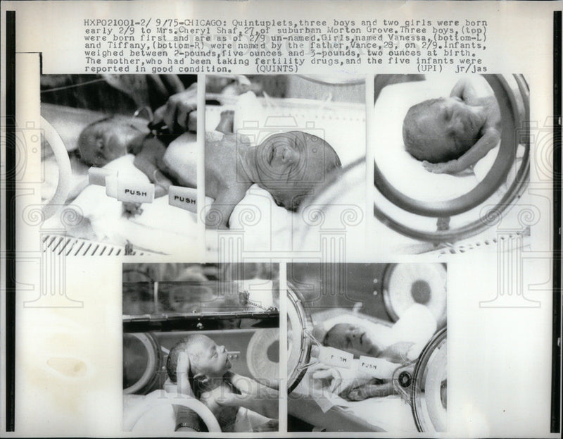 1975 Shaf Quintuplets Morton Grove IL - Historic Images