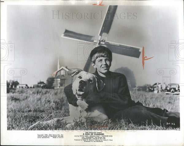 1960 Press Photo David Ladd A Dog Of Flanders Actor - Historic Images