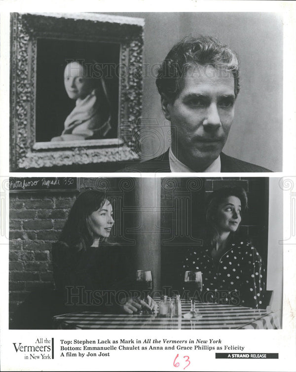 Stephen Lack All the Vermeers in New York Chaulet - Historic Images