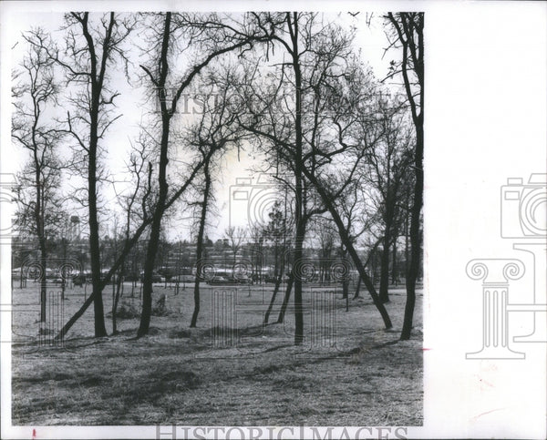 1972 Beverly Hills Homes Pine Ridge Estates - Historic Images