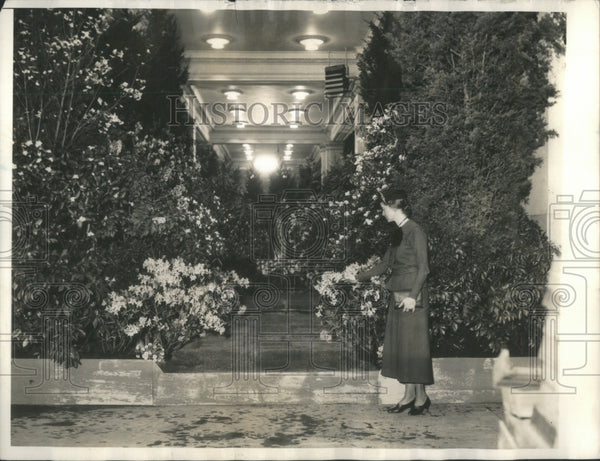 1935 Press Photo Marshall Field & Helen Witte Flower Sh- RSA45421 ...