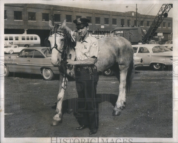 1961 Policeman Joseph Klein Captures Runaway Horse - Historic Images