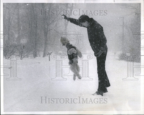 1971 Press Photo Snow Storm Chicago Wirehairir Fox Terrier - Historic ...