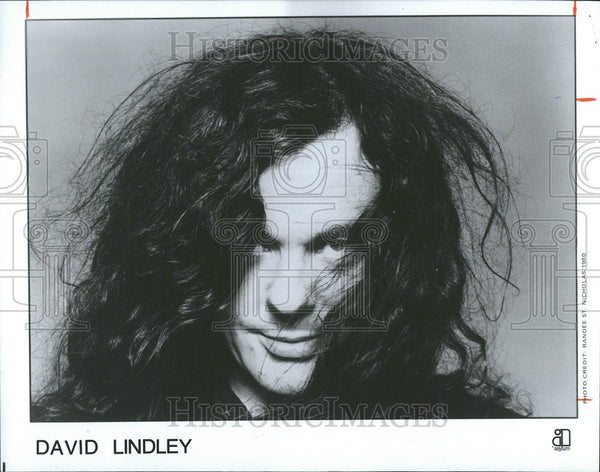 1981 Press Photo Musician David Lindley - Historic Images