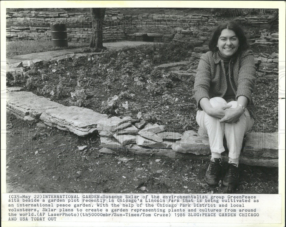 1986 Press Photo Susane Sklar Sits Beside a Garden Plot in Chicago Lin ...